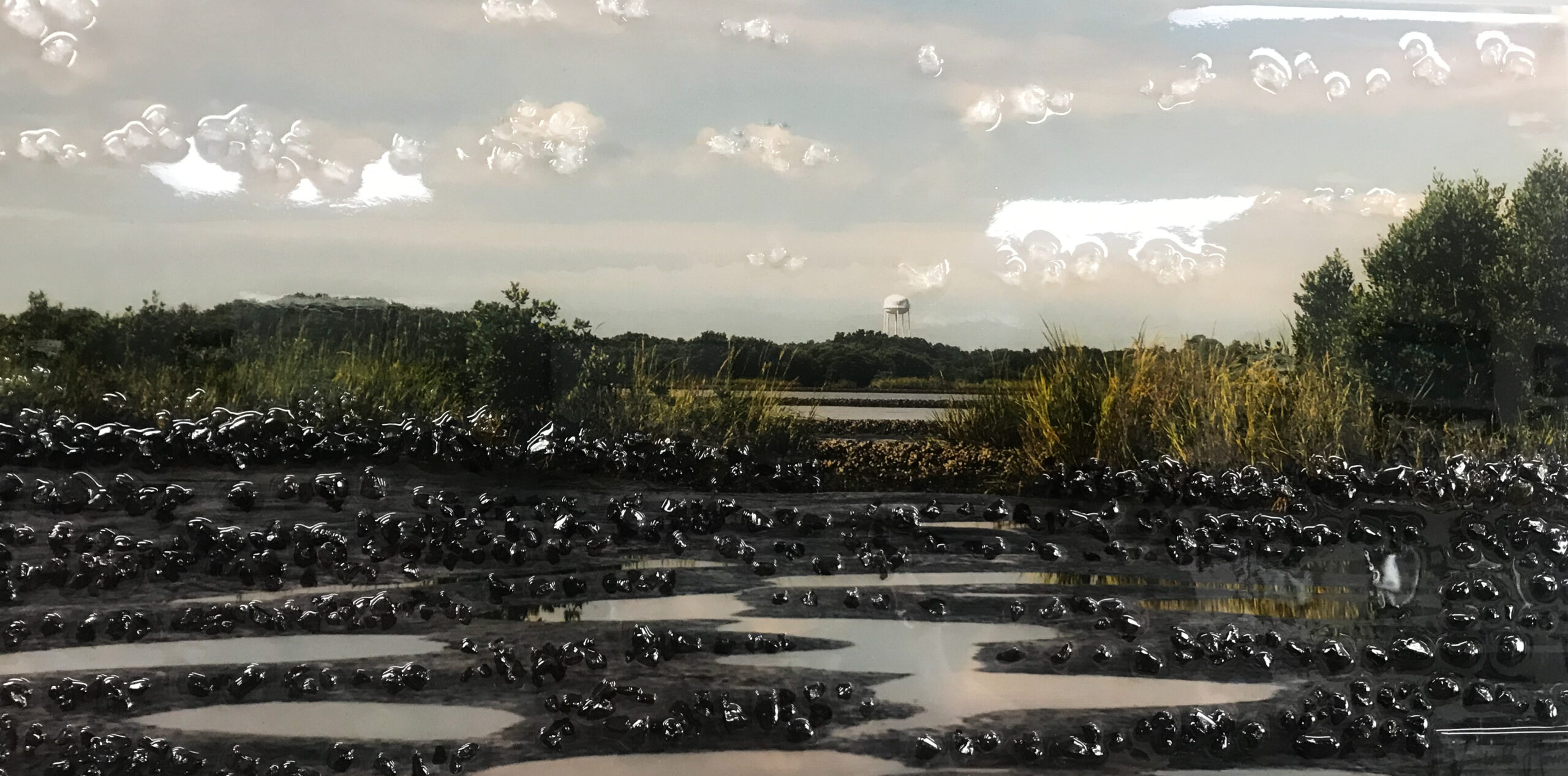 June Featured Artist: Linda Howell